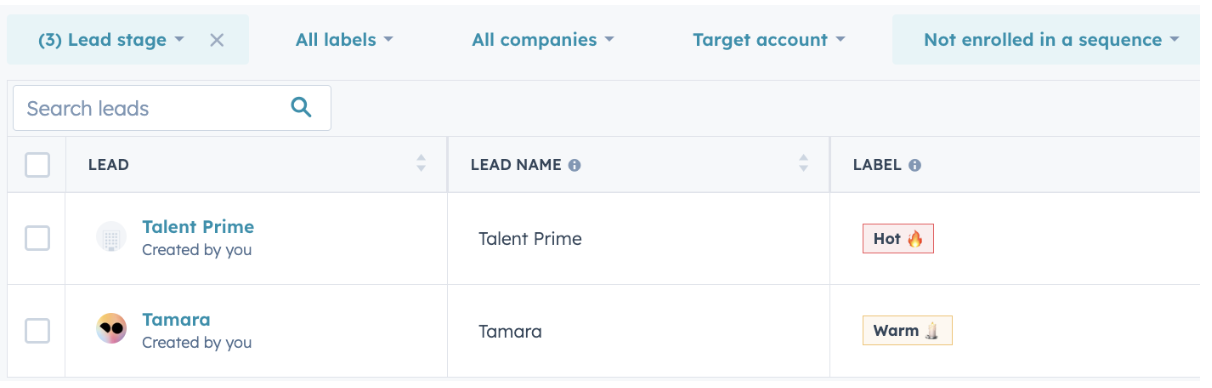 A HubSpot Elite Partner's Approach to Setting Up The Lead Object